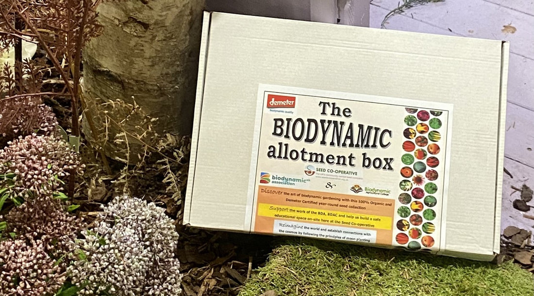 Seed Co-operative - The UK's community-owned organic seed company